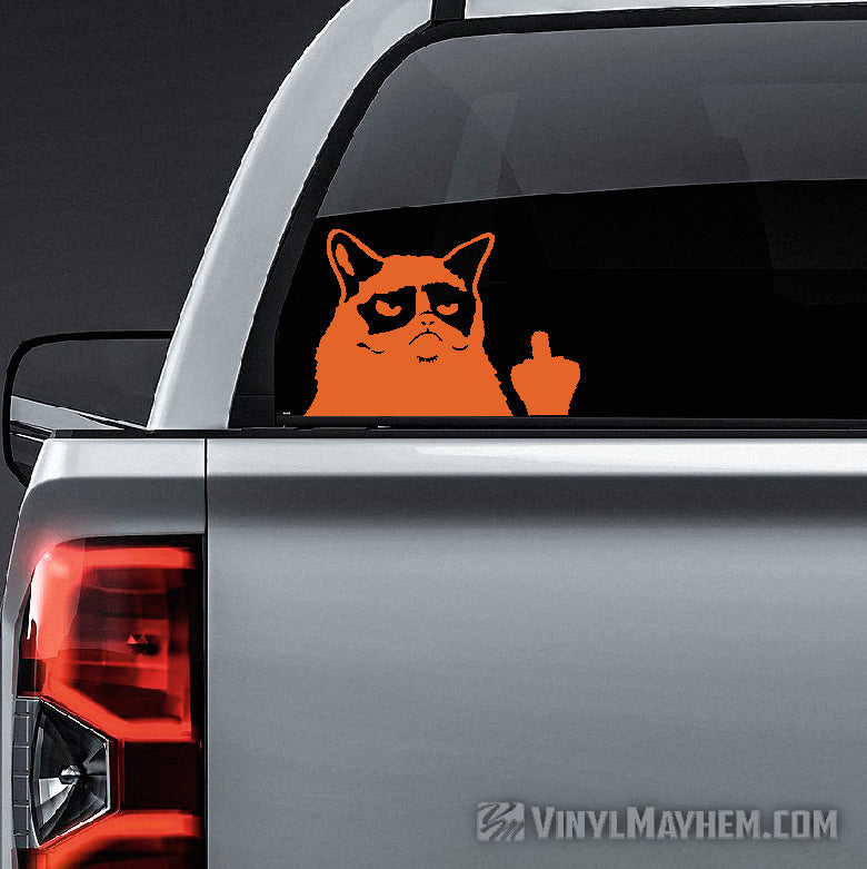 grumpy cat middle finger